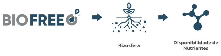 Biofree - Soluções Biológicas para a Agricultura e Pecuária | BIOTROP
